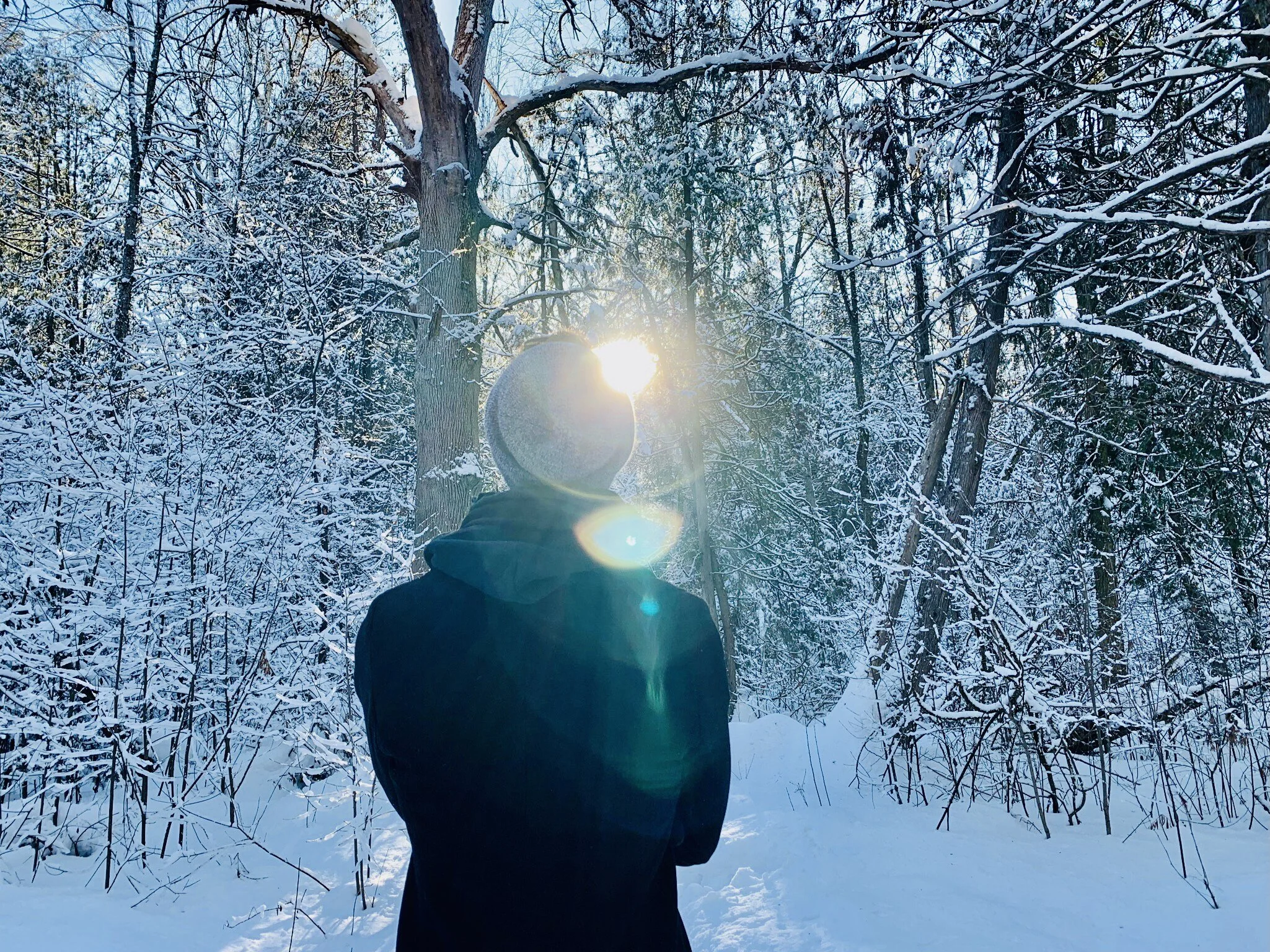 HealthWISE Consulting