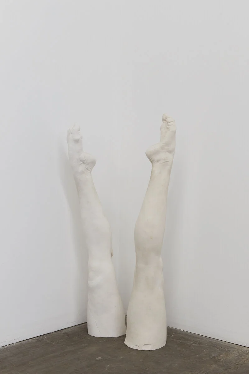 Body Variations at ACME. — heather rasmussen