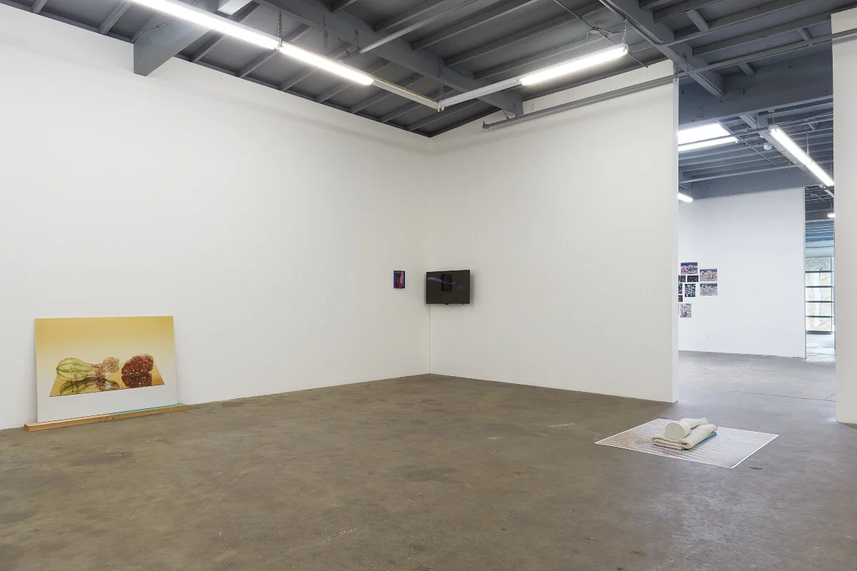 Body Variations at ACME. — heather rasmussen