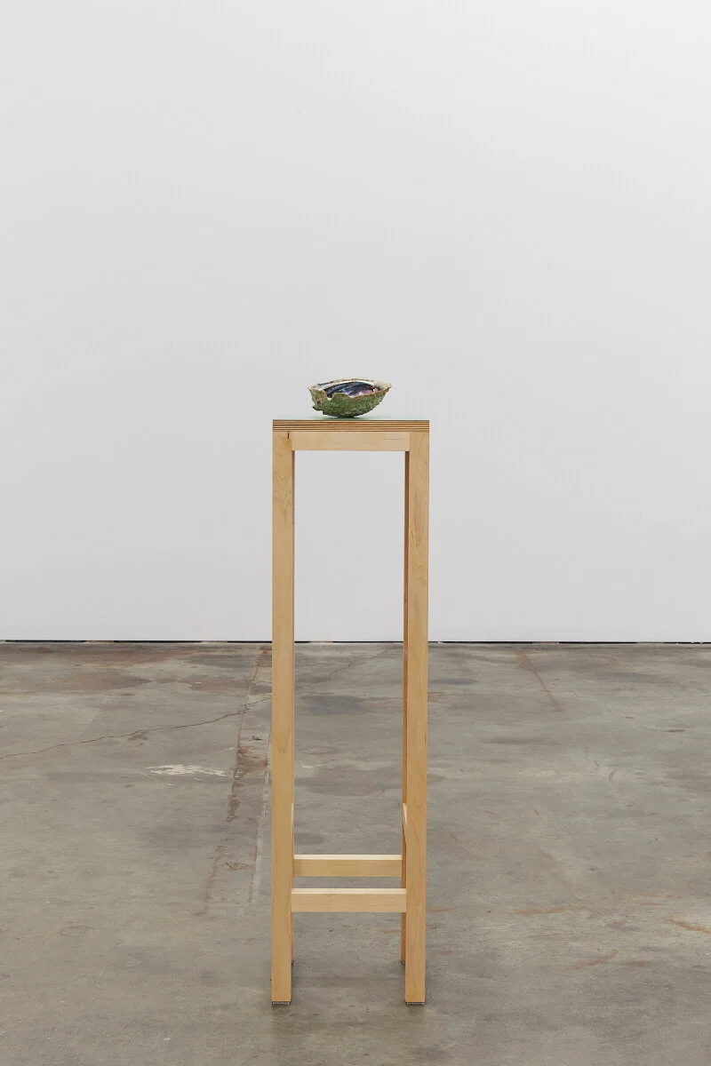 Body Variations at ACME. — heather rasmussen