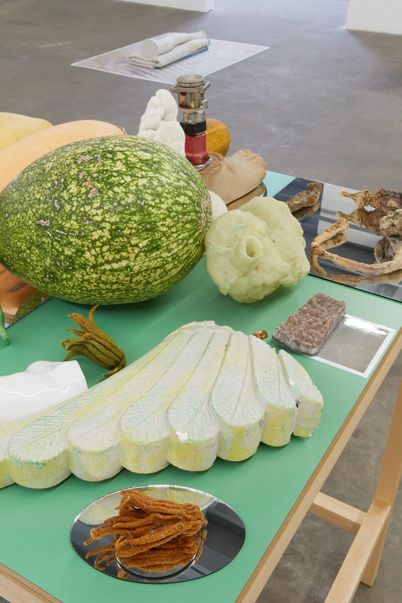 Body Variations at ACME. — heather rasmussen