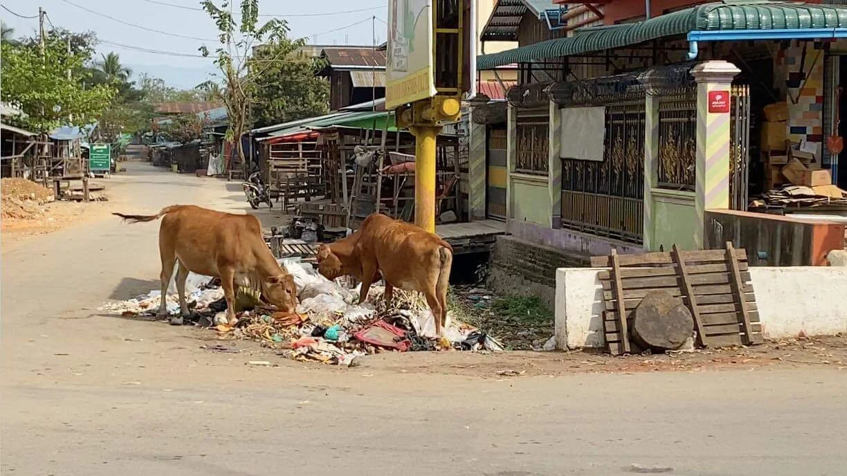Poverty — Myanmar Hope