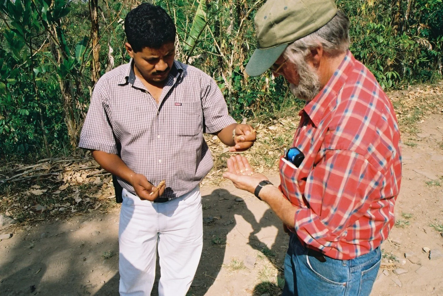 News — Codevelopment Canada