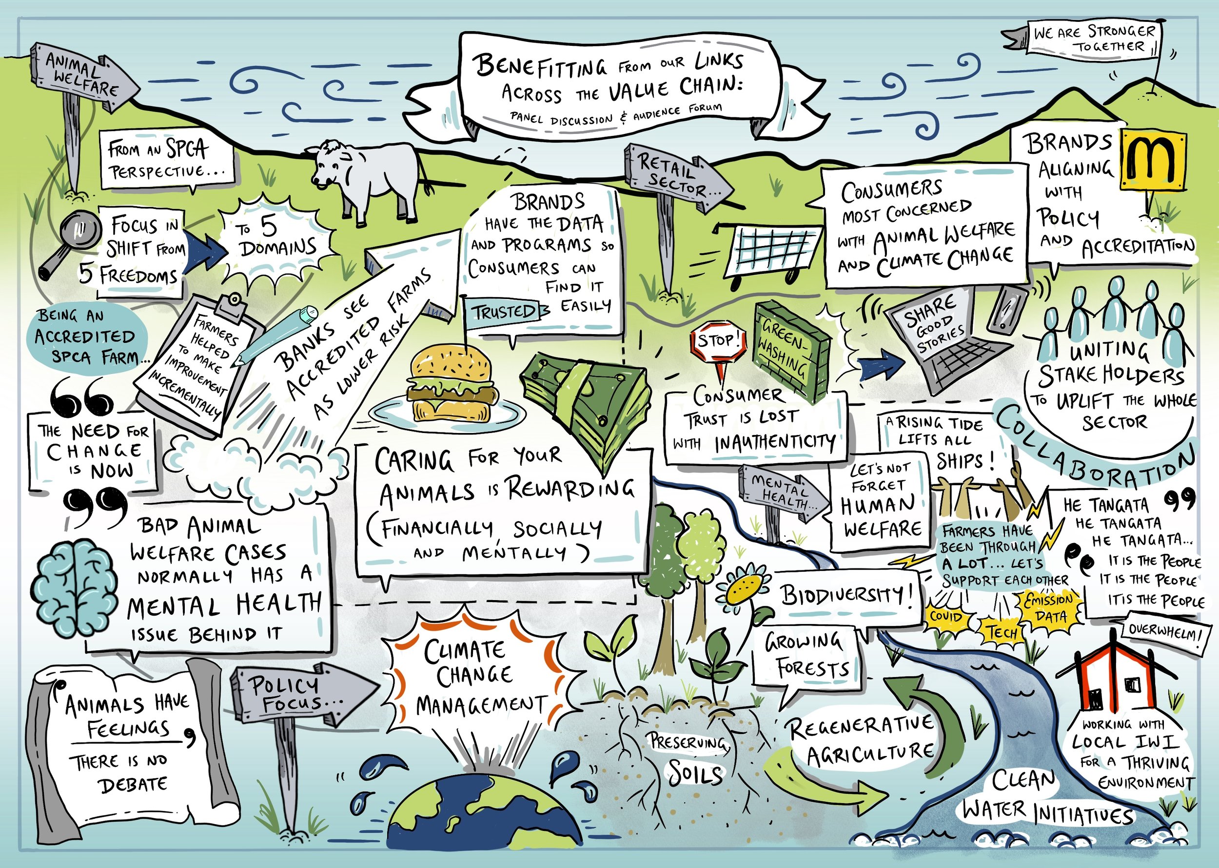 ACROSS THE BEEF VALUE CHAIN - ILLUSTRATED MINUTES — New Zealand ...