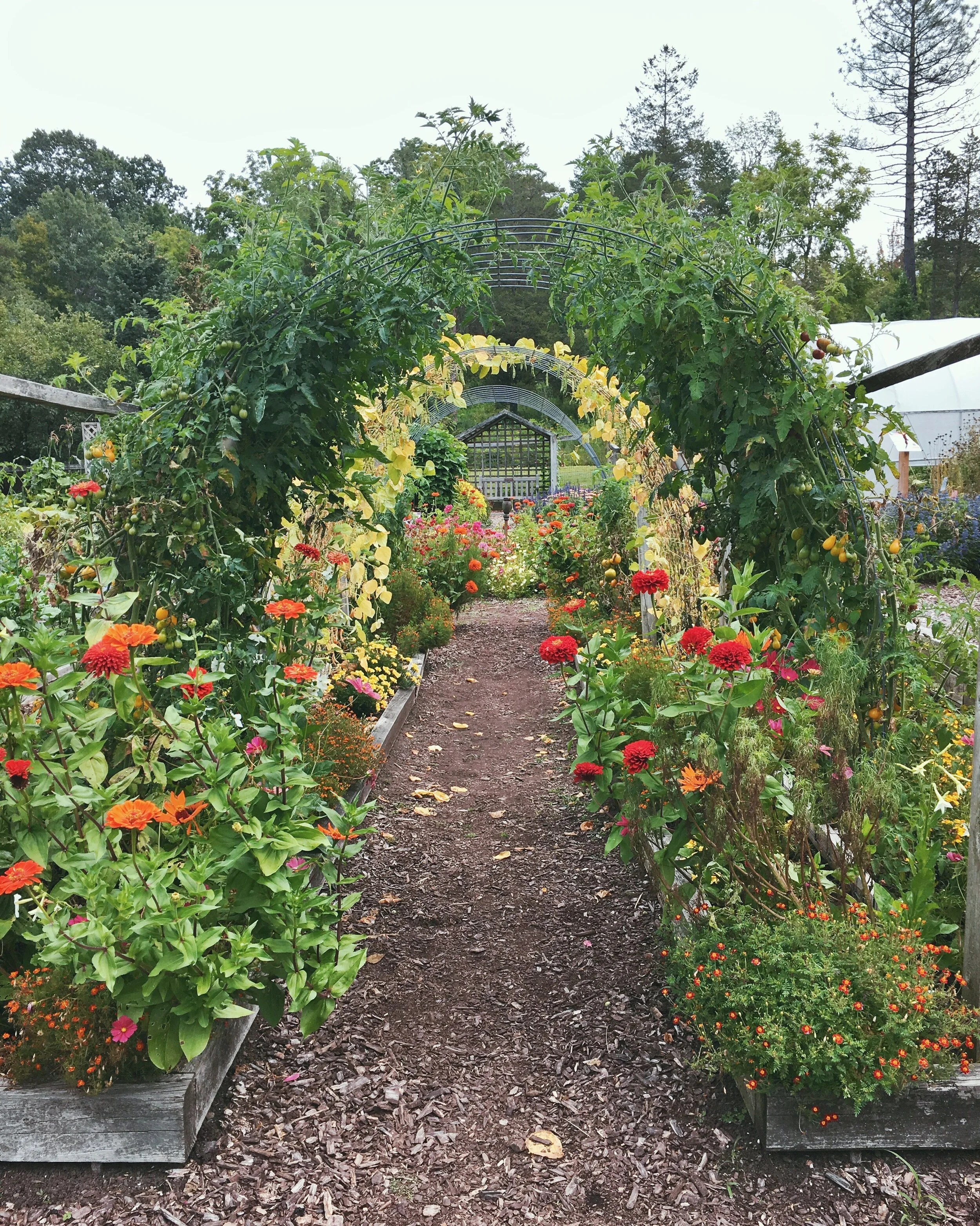 Edible Landscaping, Foodscaping, and Food for Thought — Grounded Grub