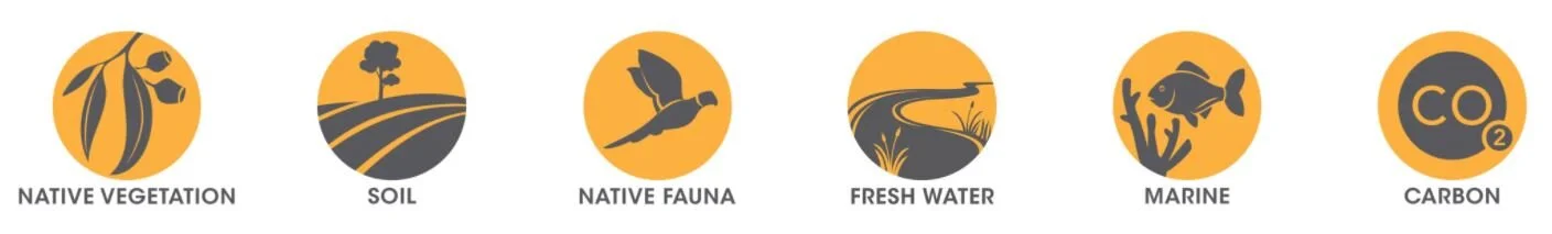 Accounting for Nature