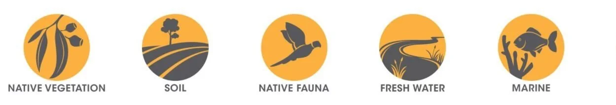 Accounting for Nature