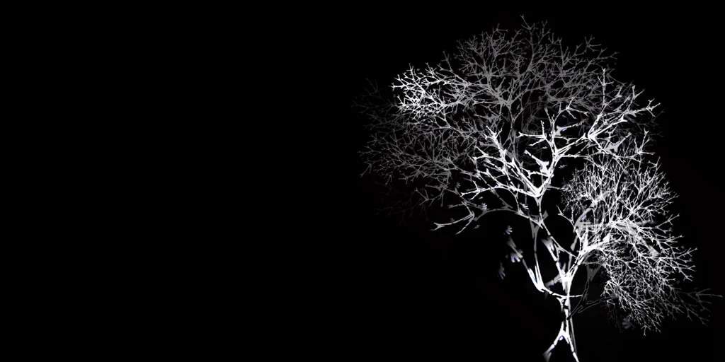 Arboreal — Science Gallery Bengaluru