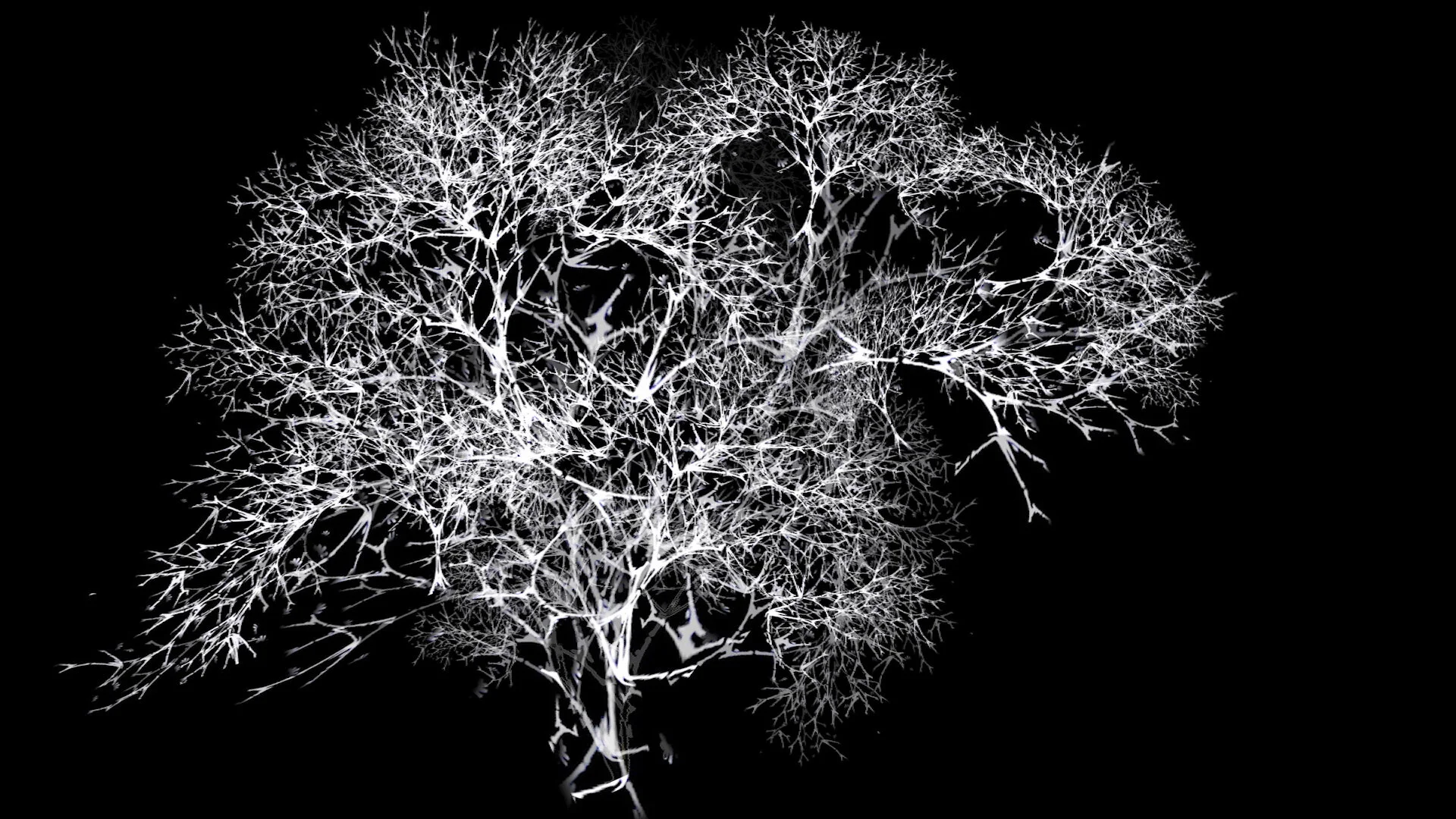 Arboreal — Science Gallery Bengaluru