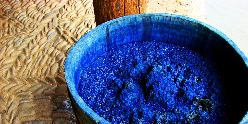 A Tale of Indigo — Science Gallery Bengaluru
