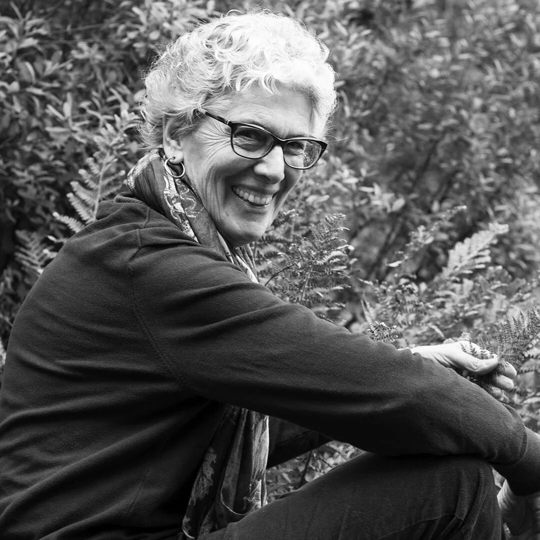 PHYTOPIA Sandra Knapp — Science Gallery Bengaluru
