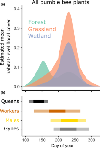 How does changing flower availability affect bumble bees? — Appalachian ...