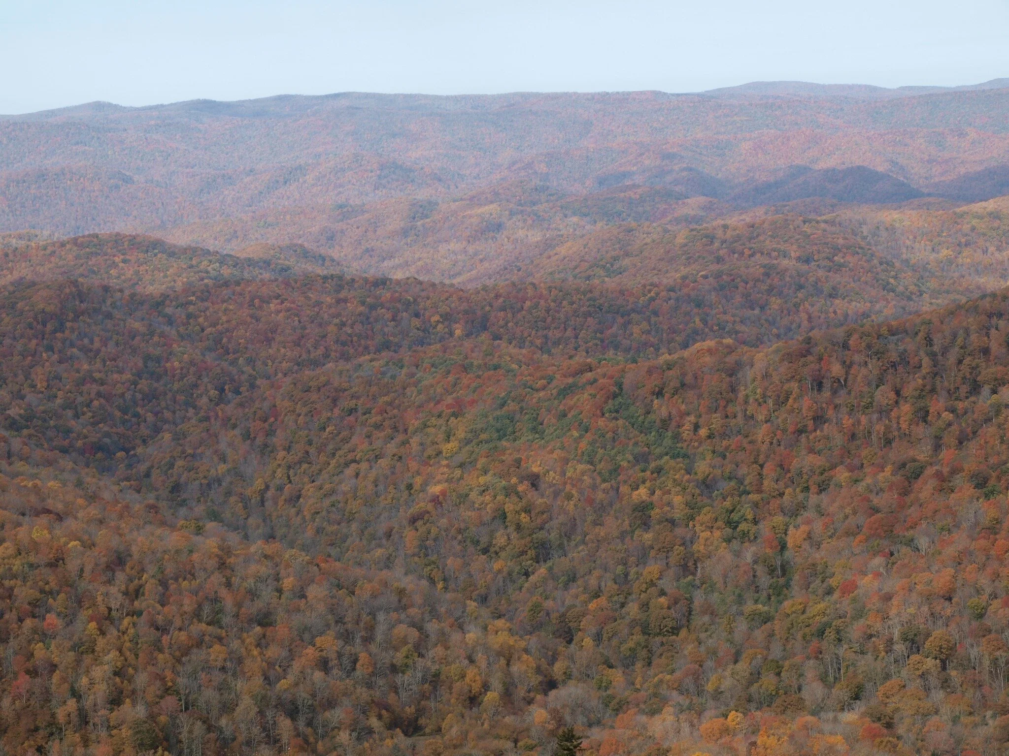 Appalachian Forest National Heritage Area