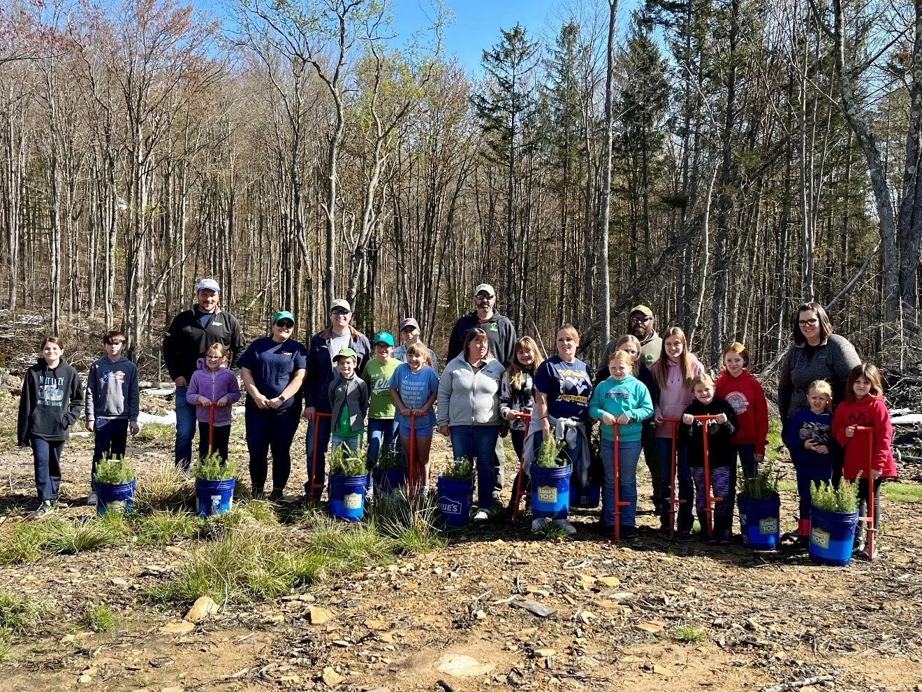 Red Spruce Restoration and American Chestnut Planting Projects ...