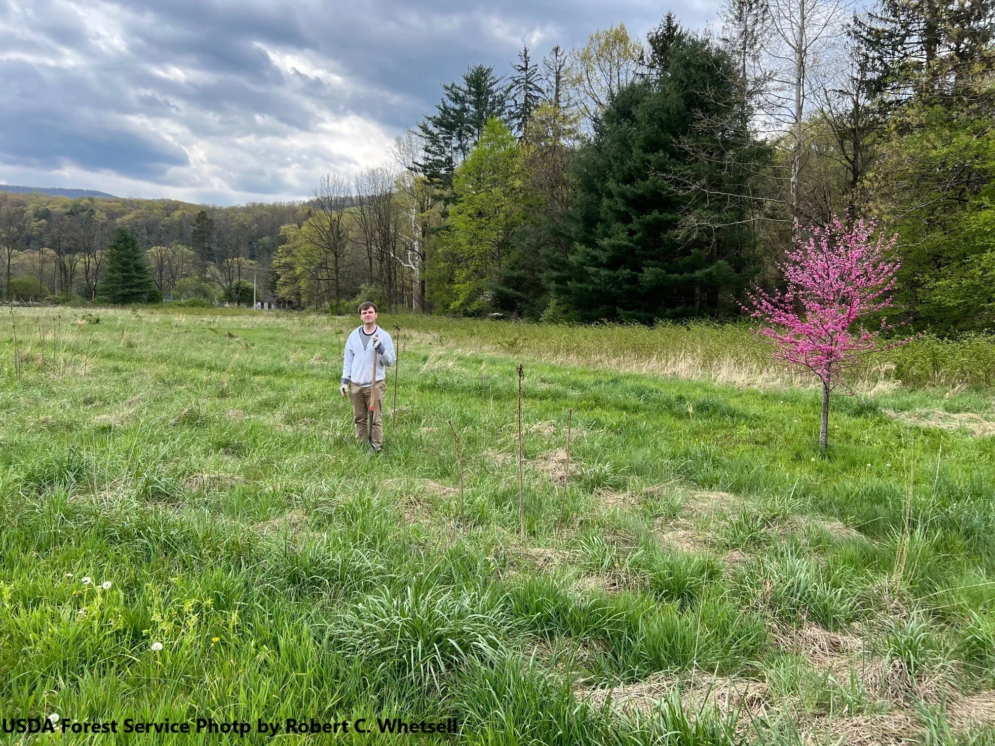 An Archeological Survey — Appalachian Forest National Heritage Area