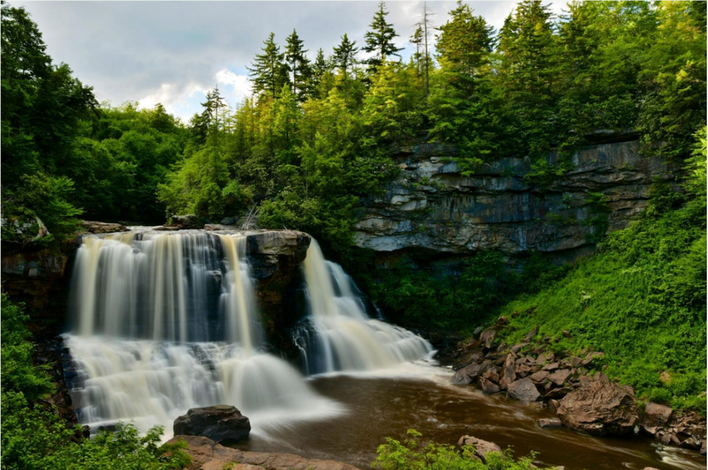 Natural History Maps — Appalachian Forest National Heritage Area