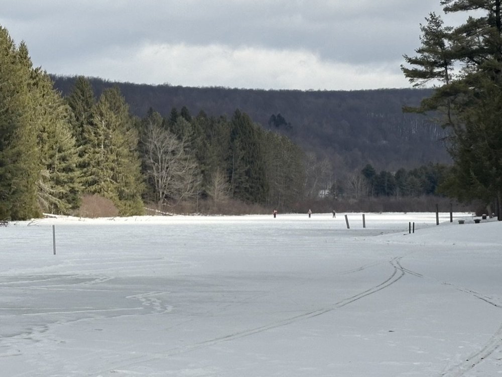 New Germany State Park: Raising Maryland’s Alps — Appalachian Forest ...