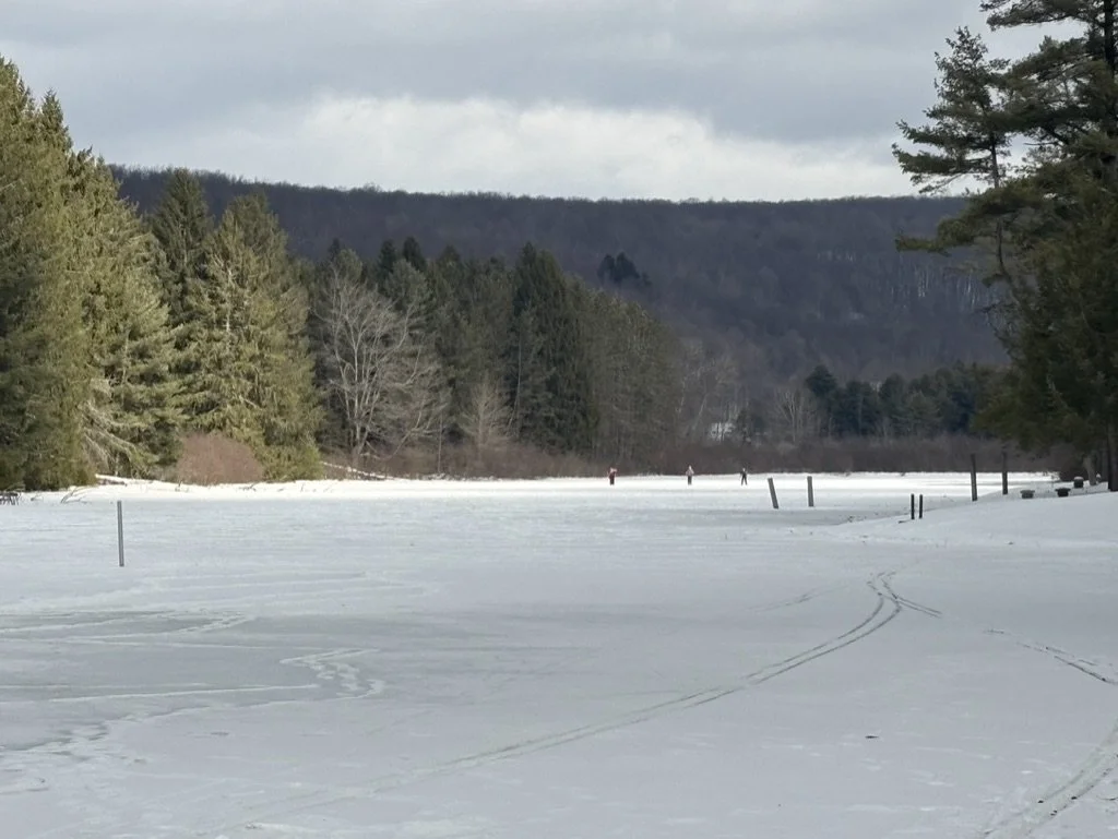 New Germany State Park: Raising Maryland’s Alps — Appalachian Forest ...