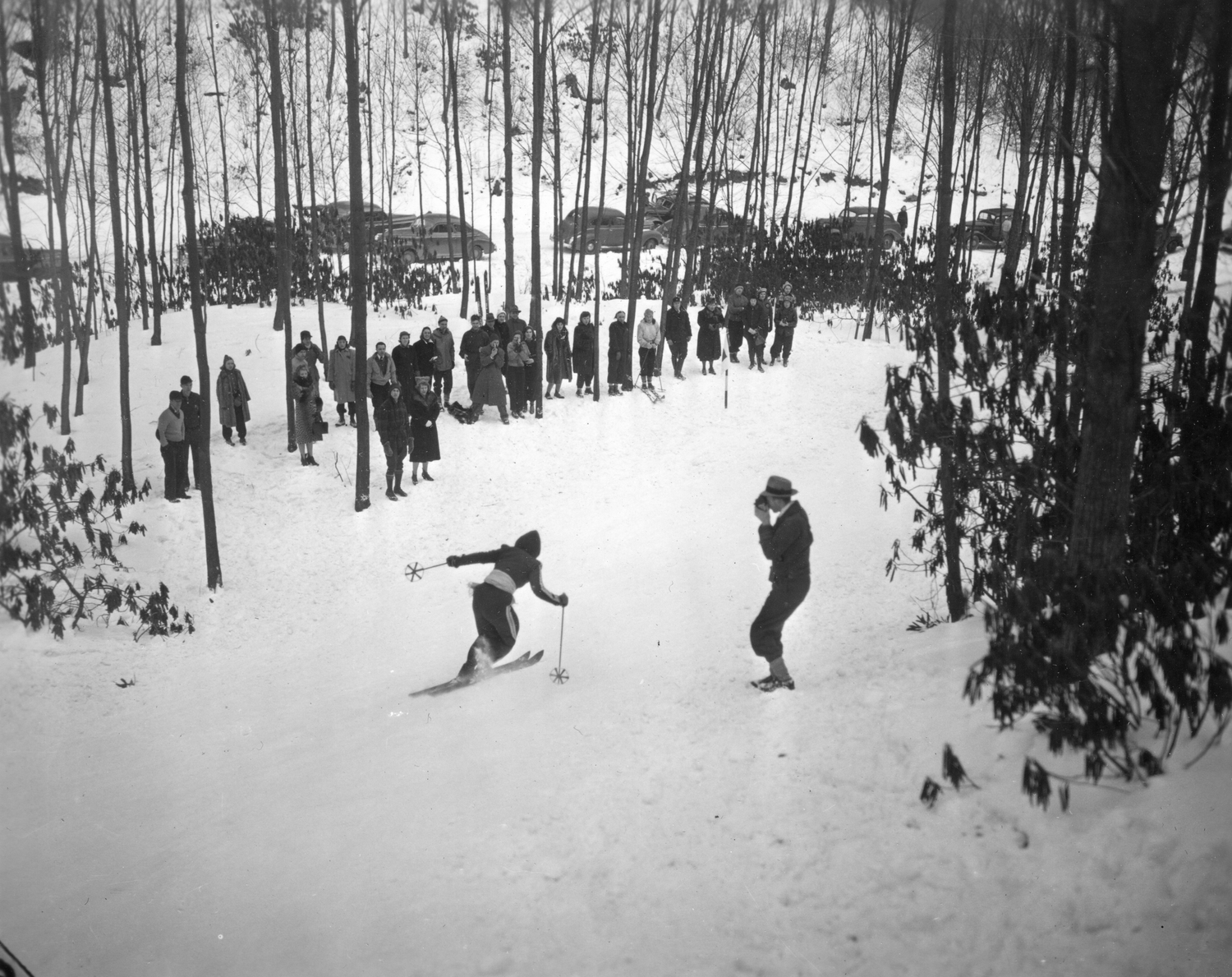 New Germany State Park: Raising Maryland’s Alps — Appalachian Forest ...