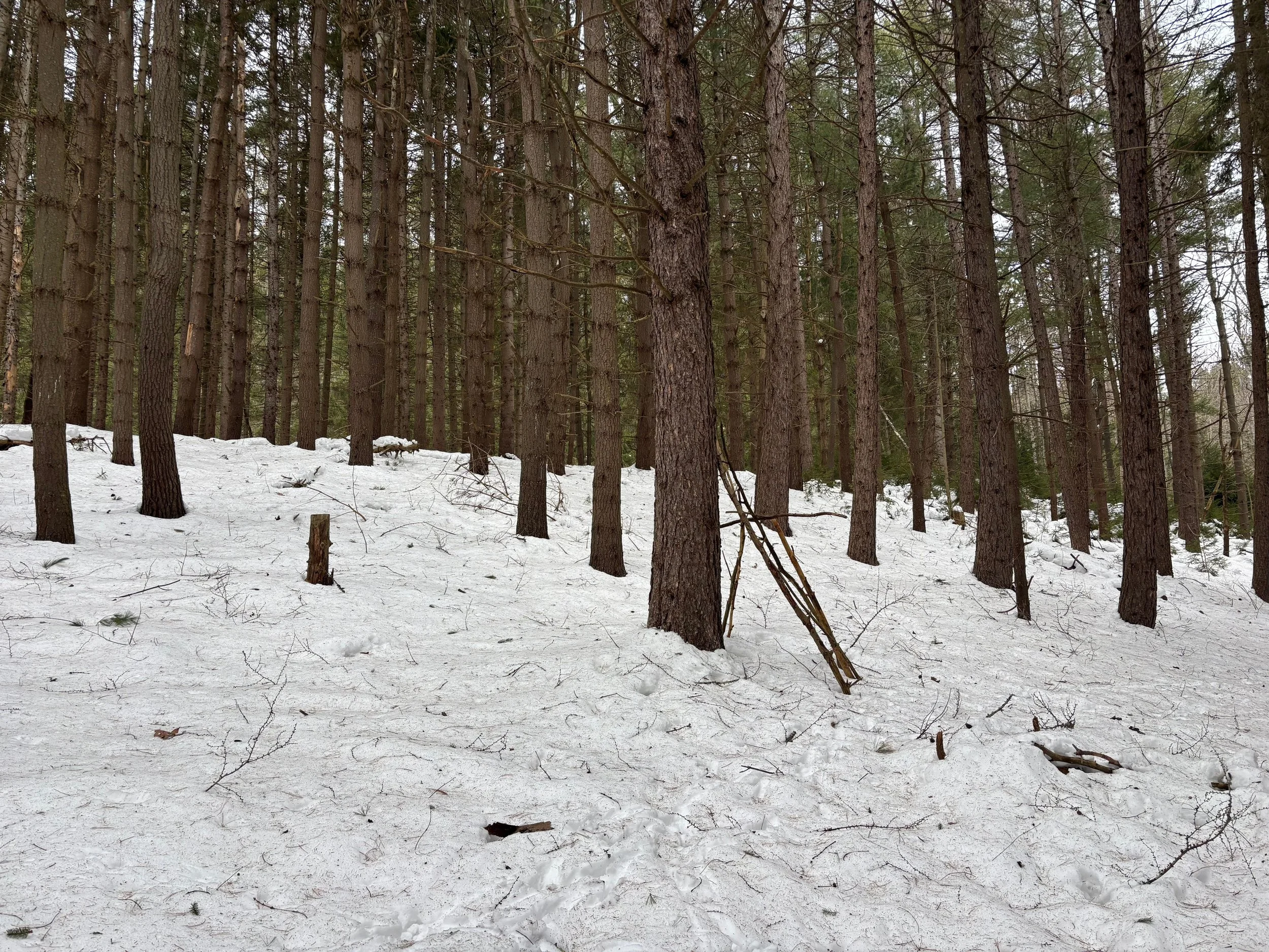 New Germany State Park: Raising Maryland’s Alps — Appalachian Forest ...