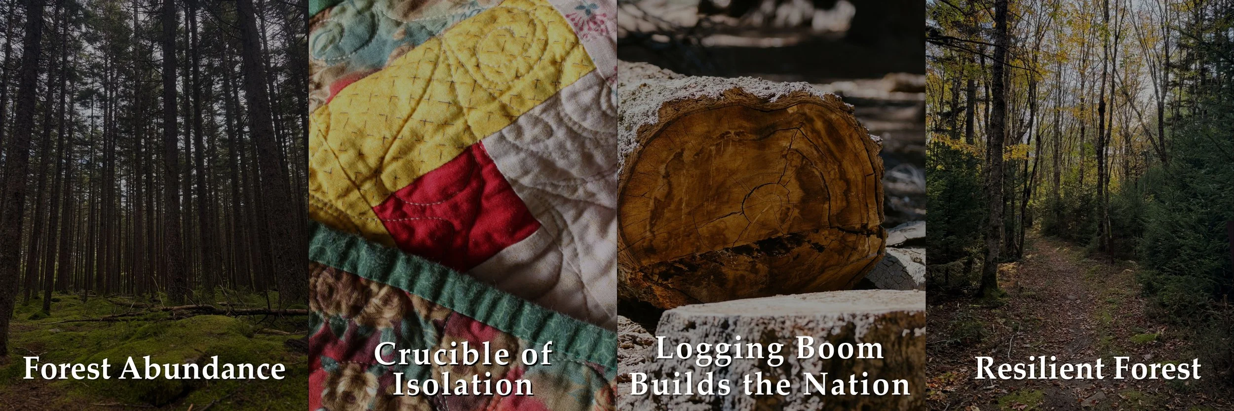 Our Region — Appalachian Forest National Heritage Area