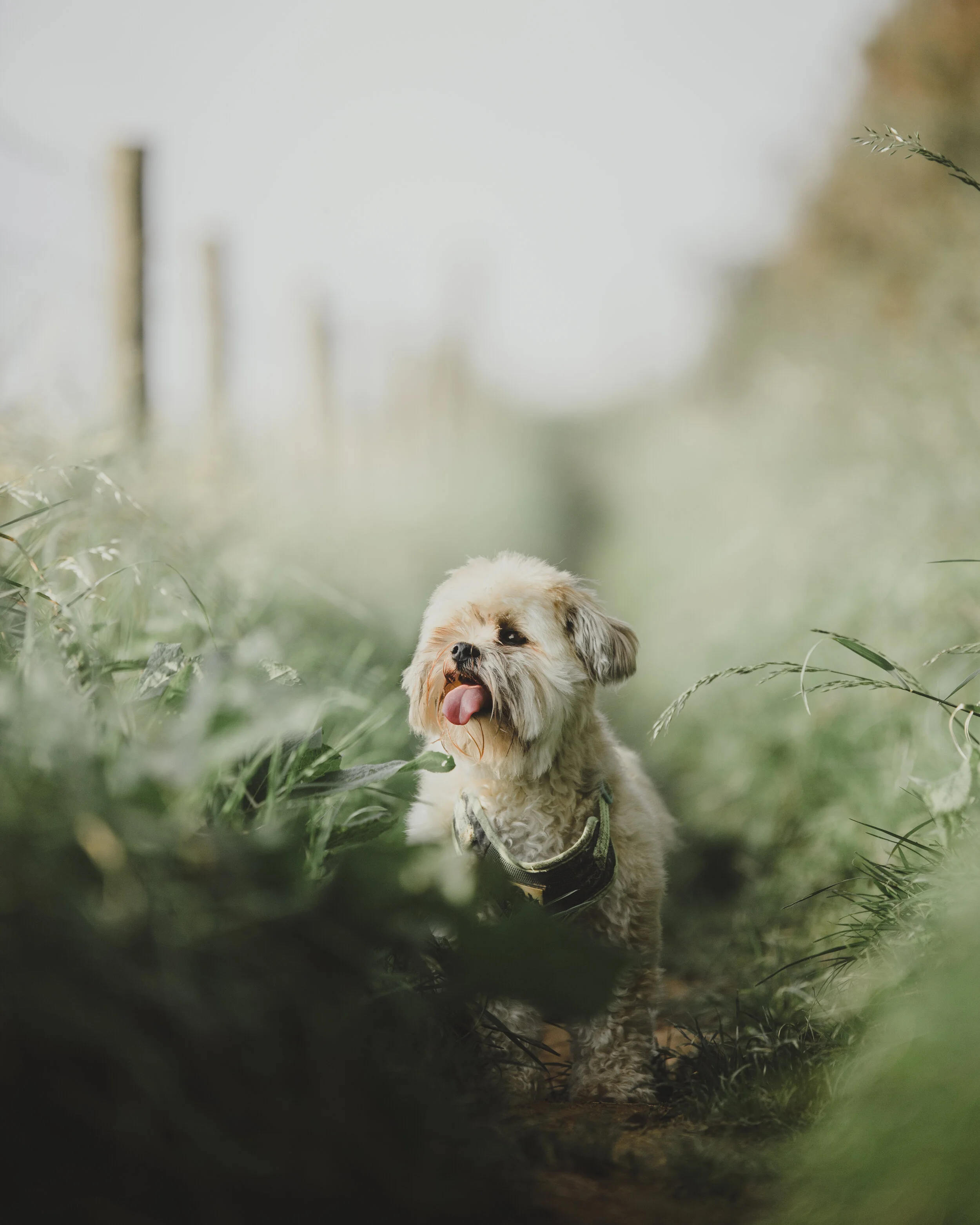 George Vale Photography