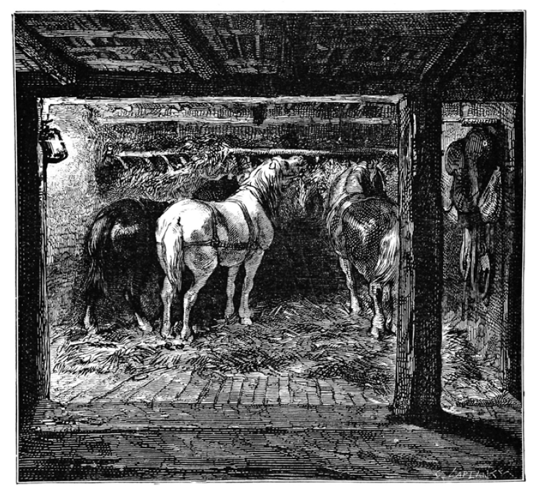 Early Colliery Images — The Neston Collieries