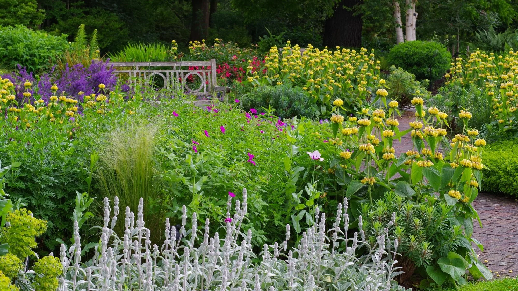 Planting styles - GARDENWILD ltd