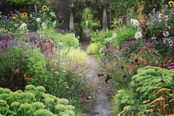 Naturalistic Planting Style - Planting styles - GARDENWILD ltd