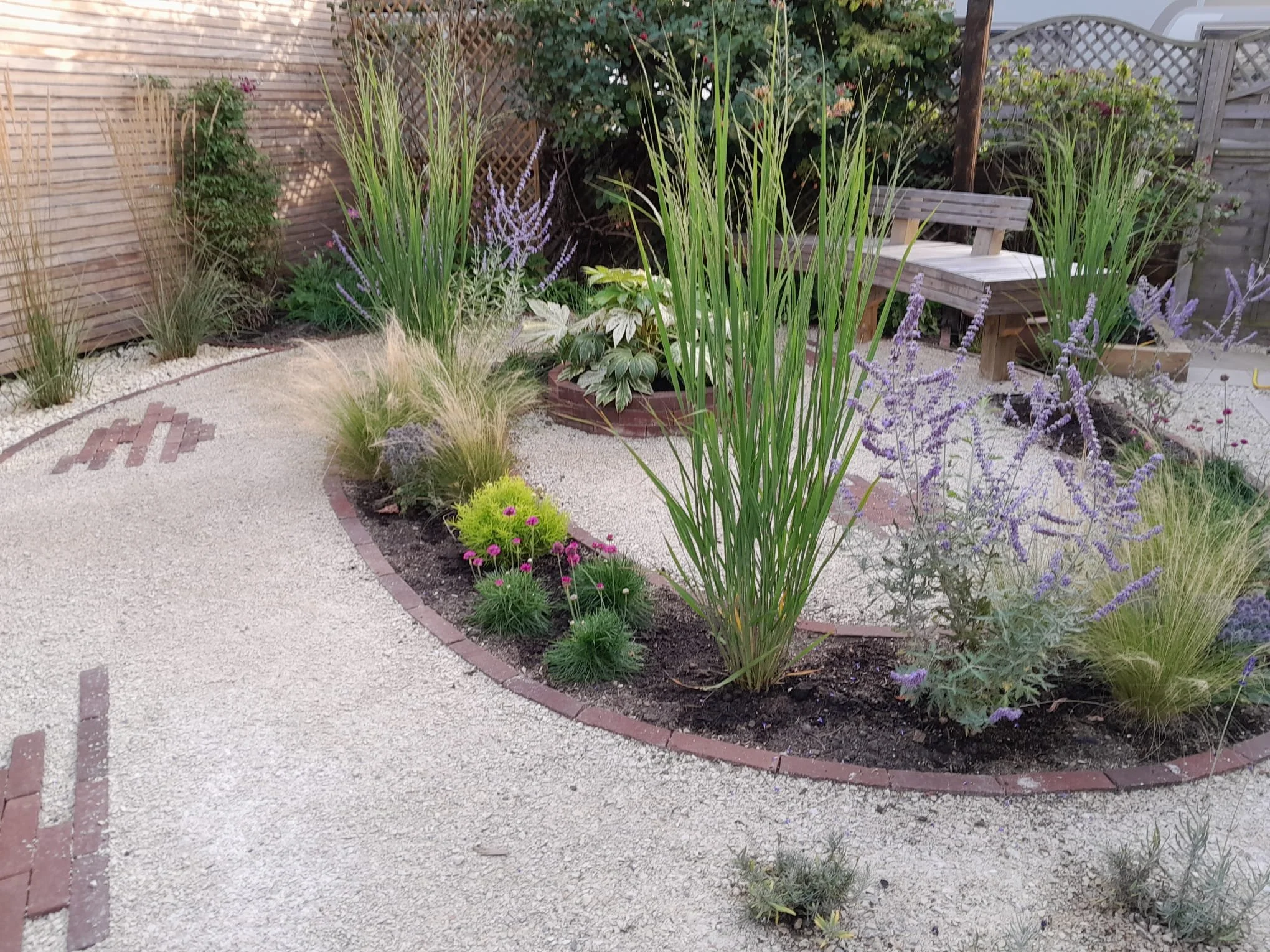 The Sea Shell - Portfolio by Gardenwild - GARDENWILD ltd