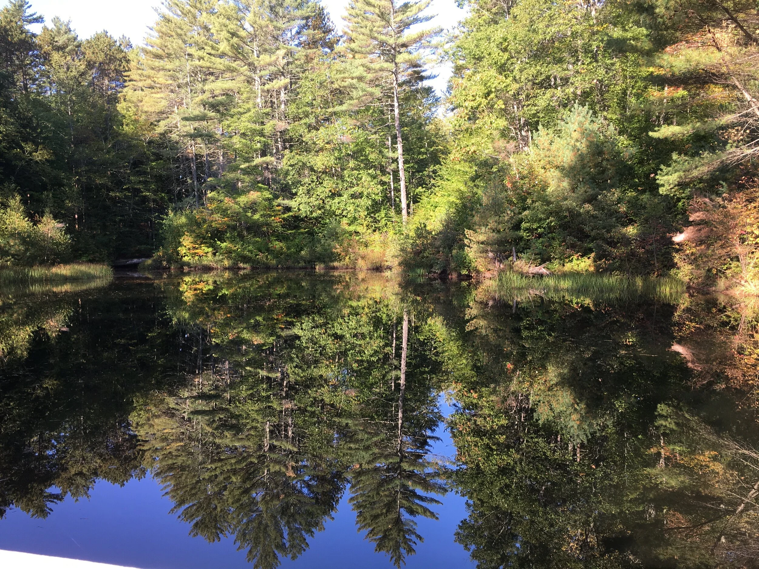 Foothills Family Campground