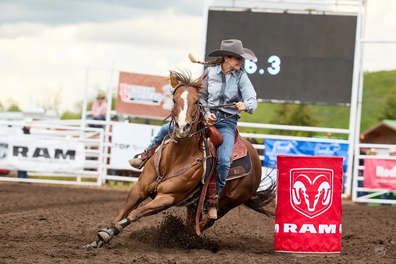 Sale Barn — Barrel Horse Brokers