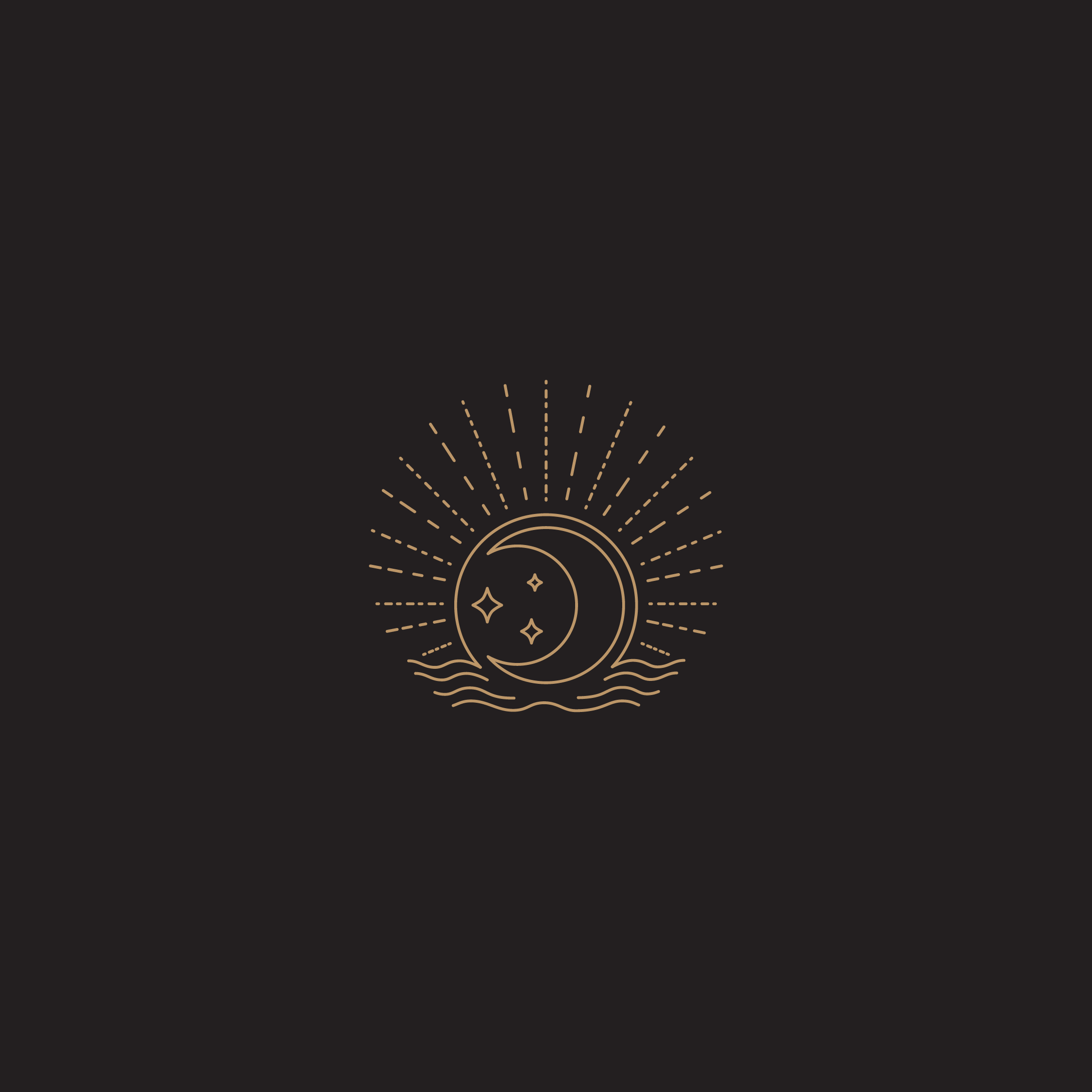 Daily Logo Series - Tips and Tricks — Tina Perko Design