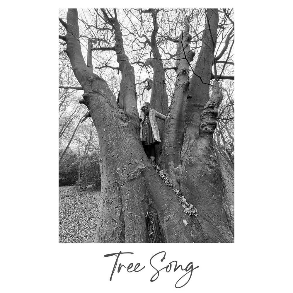 Tree Song — Urban Tree Festival