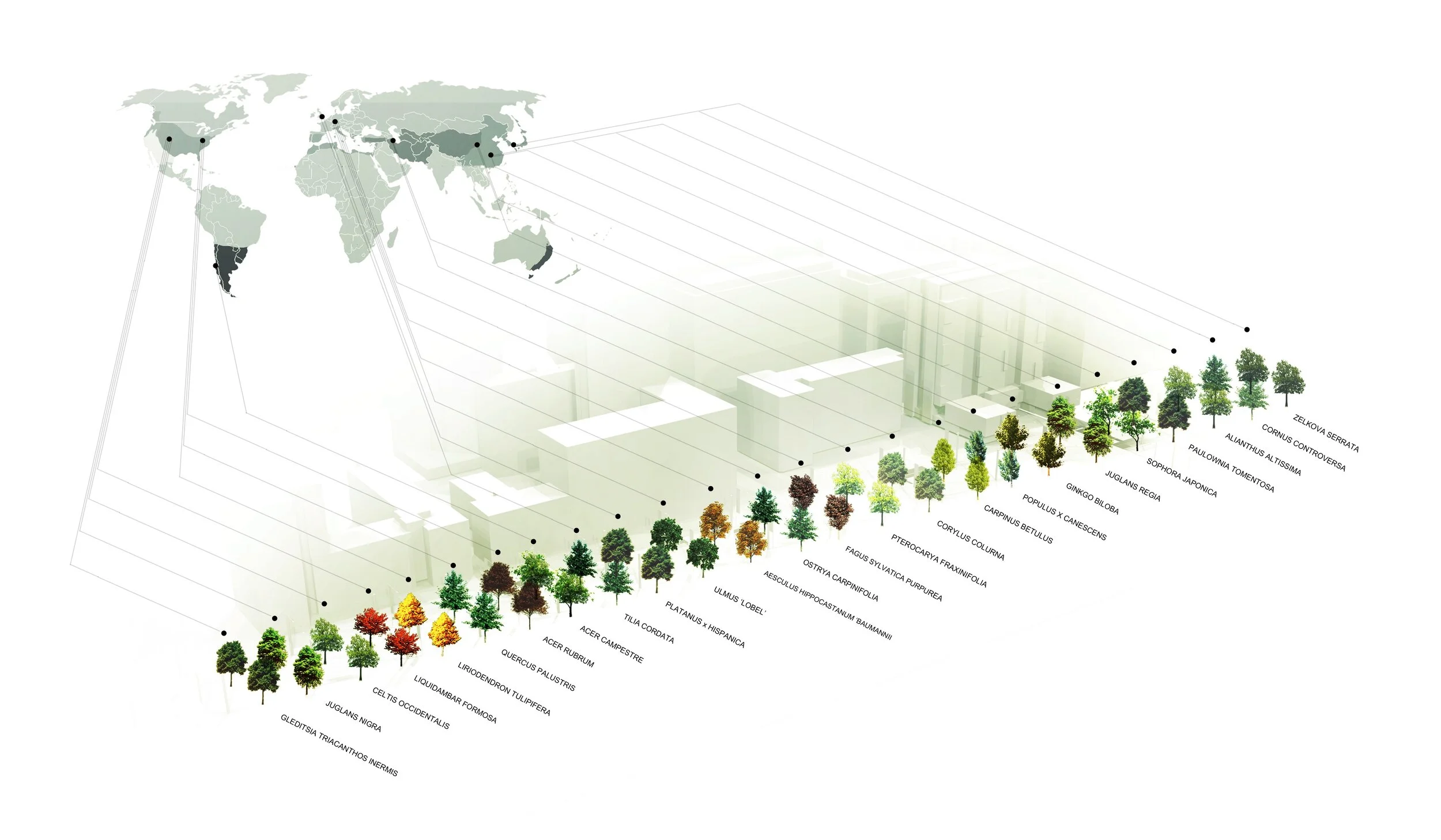 17 May 2021 — Urban Tree Festival