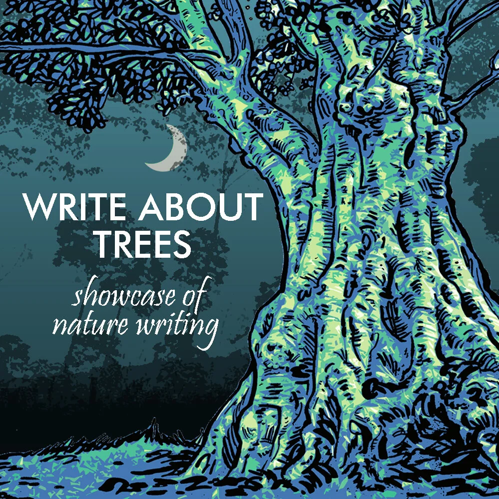 WRITE ABOUT TREES — Urban Tree Festival