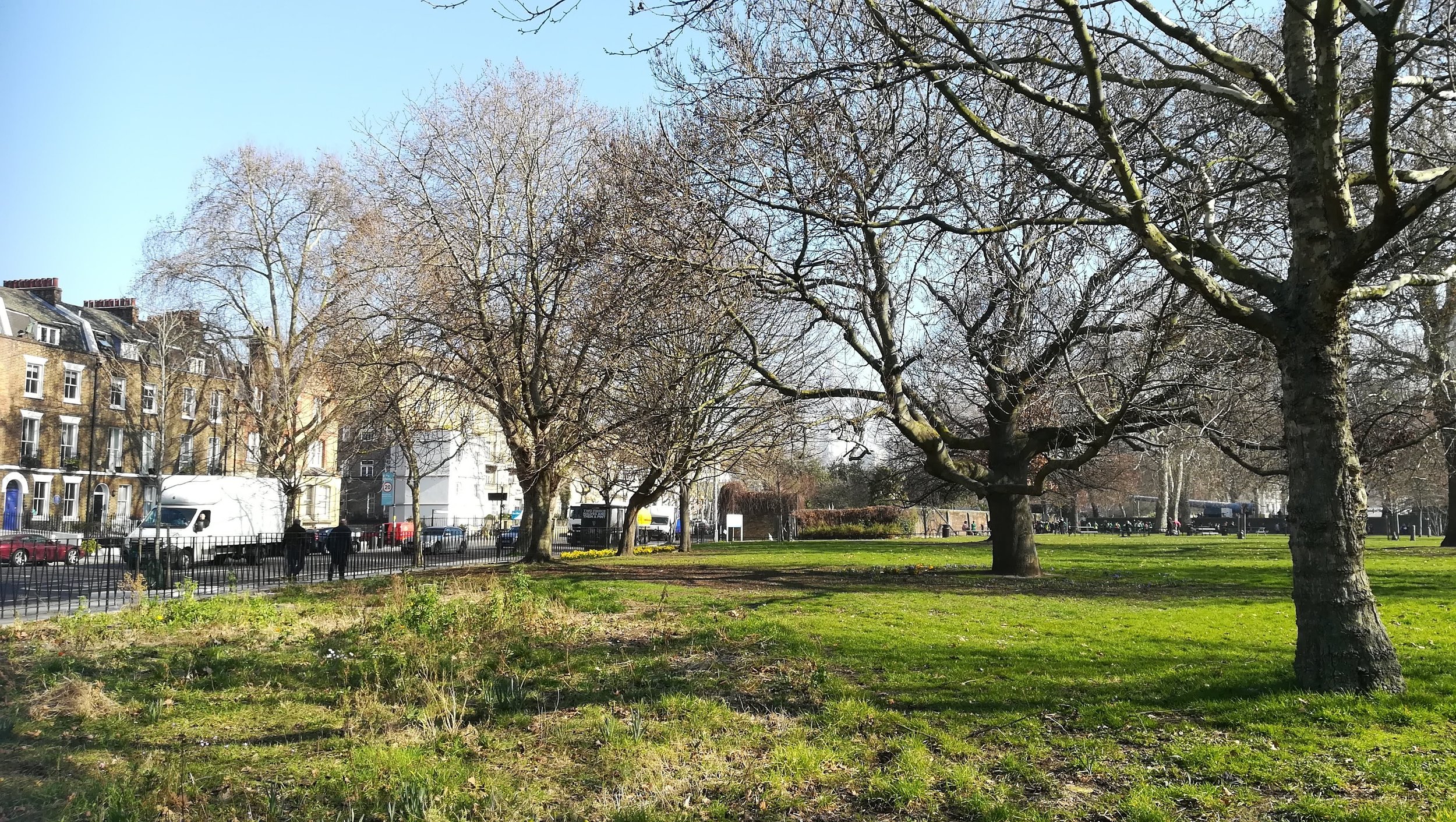 Mapathon — Urban Tree Festival