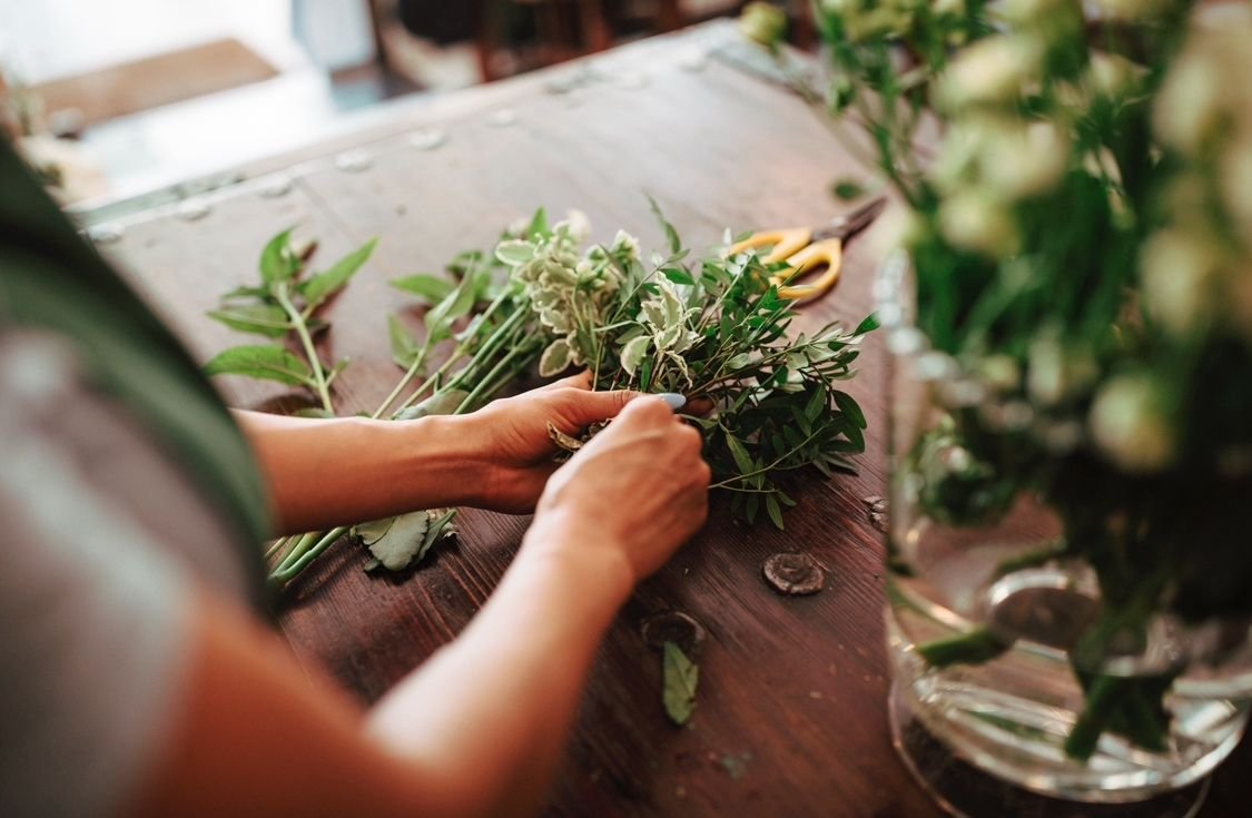 Foraging Walk for City Women — Urban Tree Festival