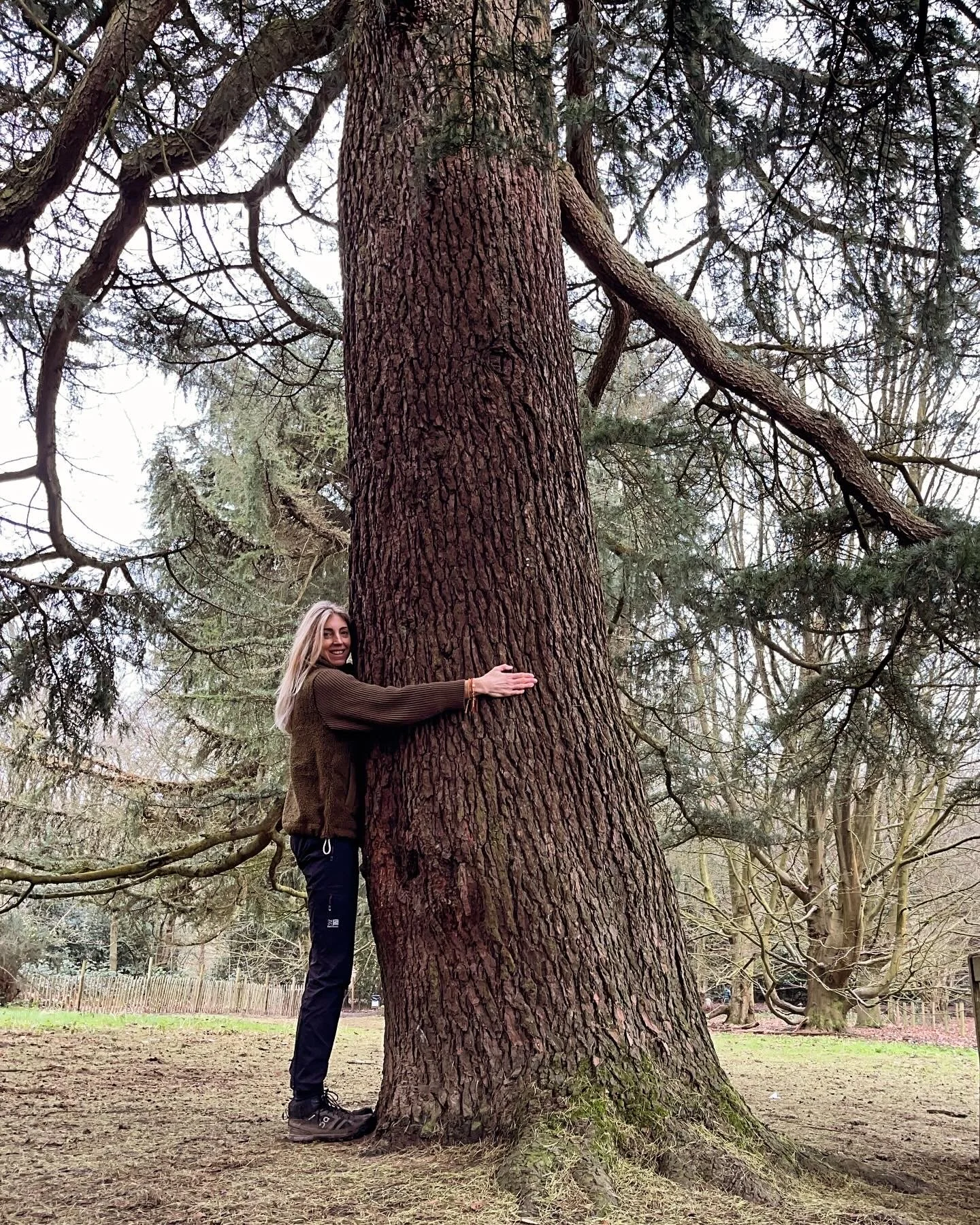 Tree glee: Forest Bathing in Hampstead Heath — Urban Tree Festival