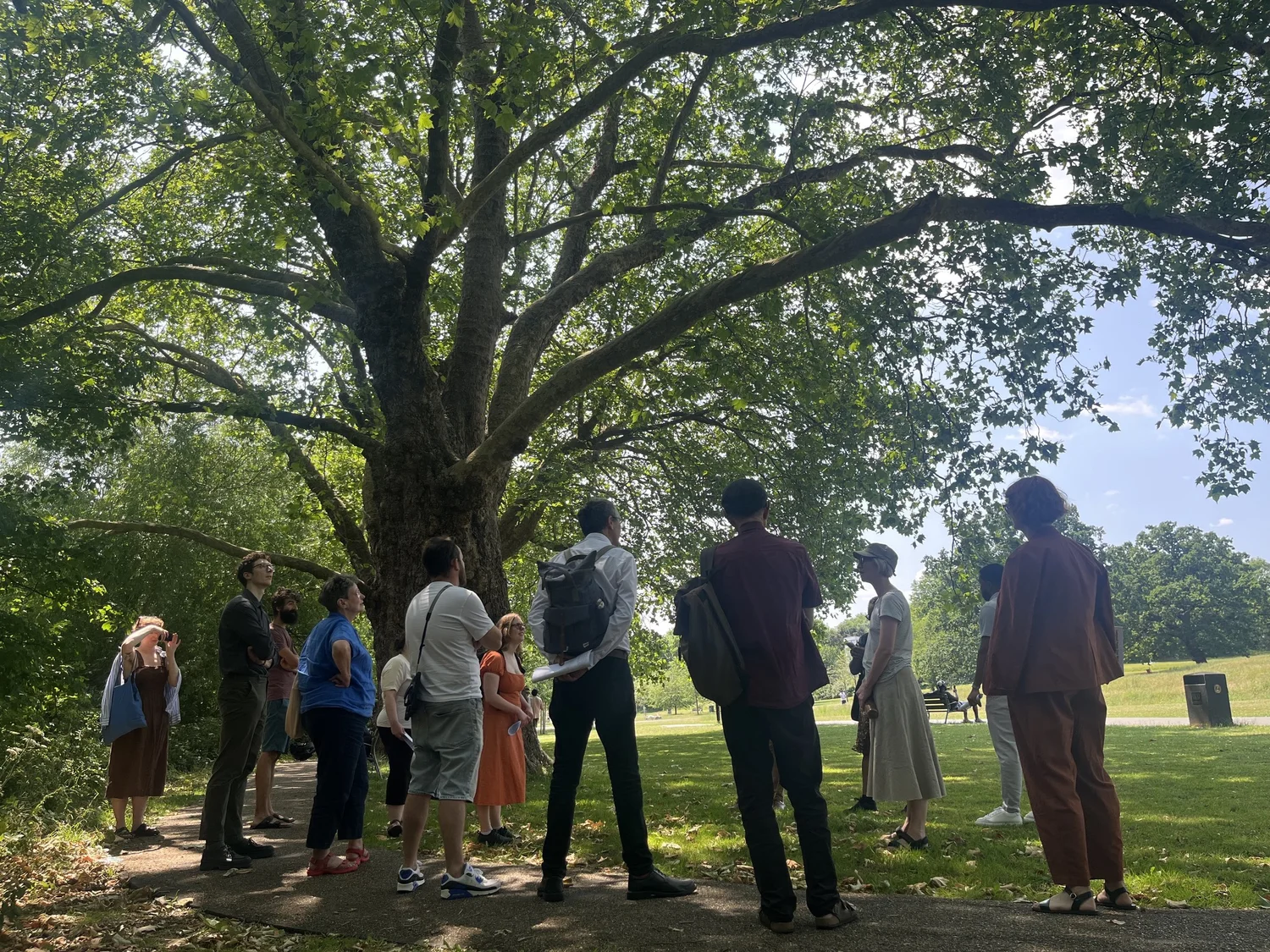 New Cross Tree Walk with Greg Packman — Urban Tree Festival