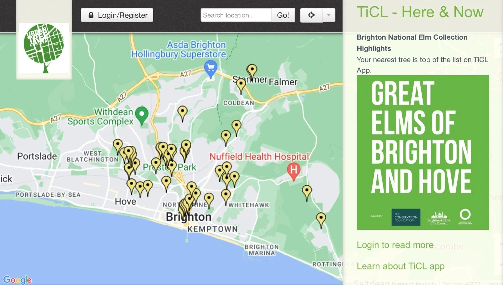 An introduction to Brighton and Hove's elm trees — Urban Tree Festival