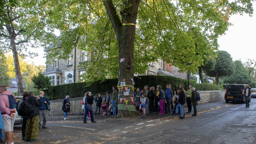 The 2025 Programme — Urban Tree Festival