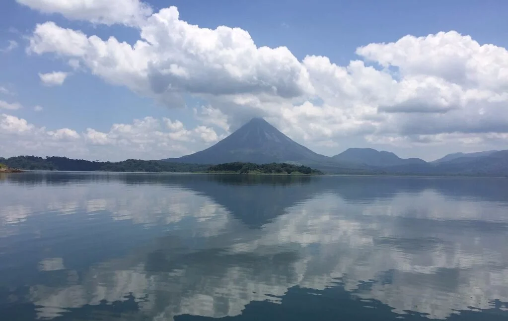 TERESA DESCILO | HEAL, RESTORE, RISE