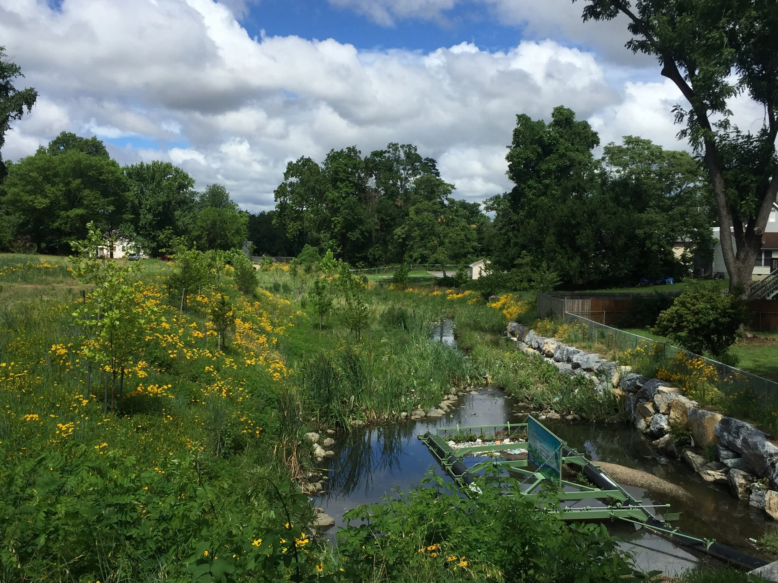 Stream & Habitat Restoration — Anacostia River Sediment Project