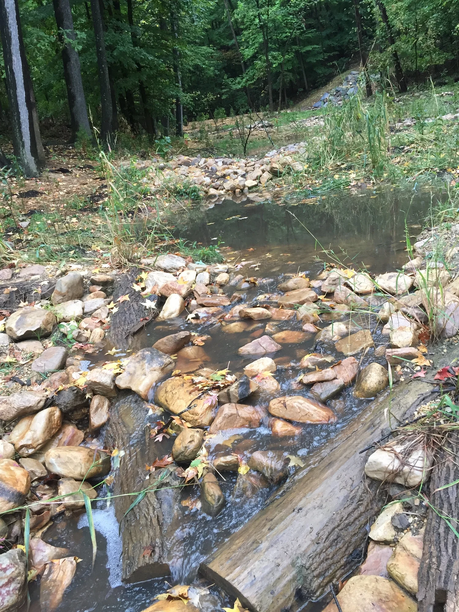 Stream & Habitat Restoration — Anacostia River Sediment Project