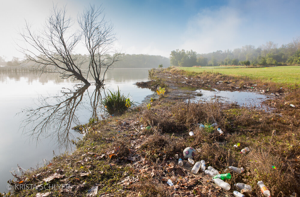Anacostia Corridor Restoration Plan — Anacostia River Sediment Project