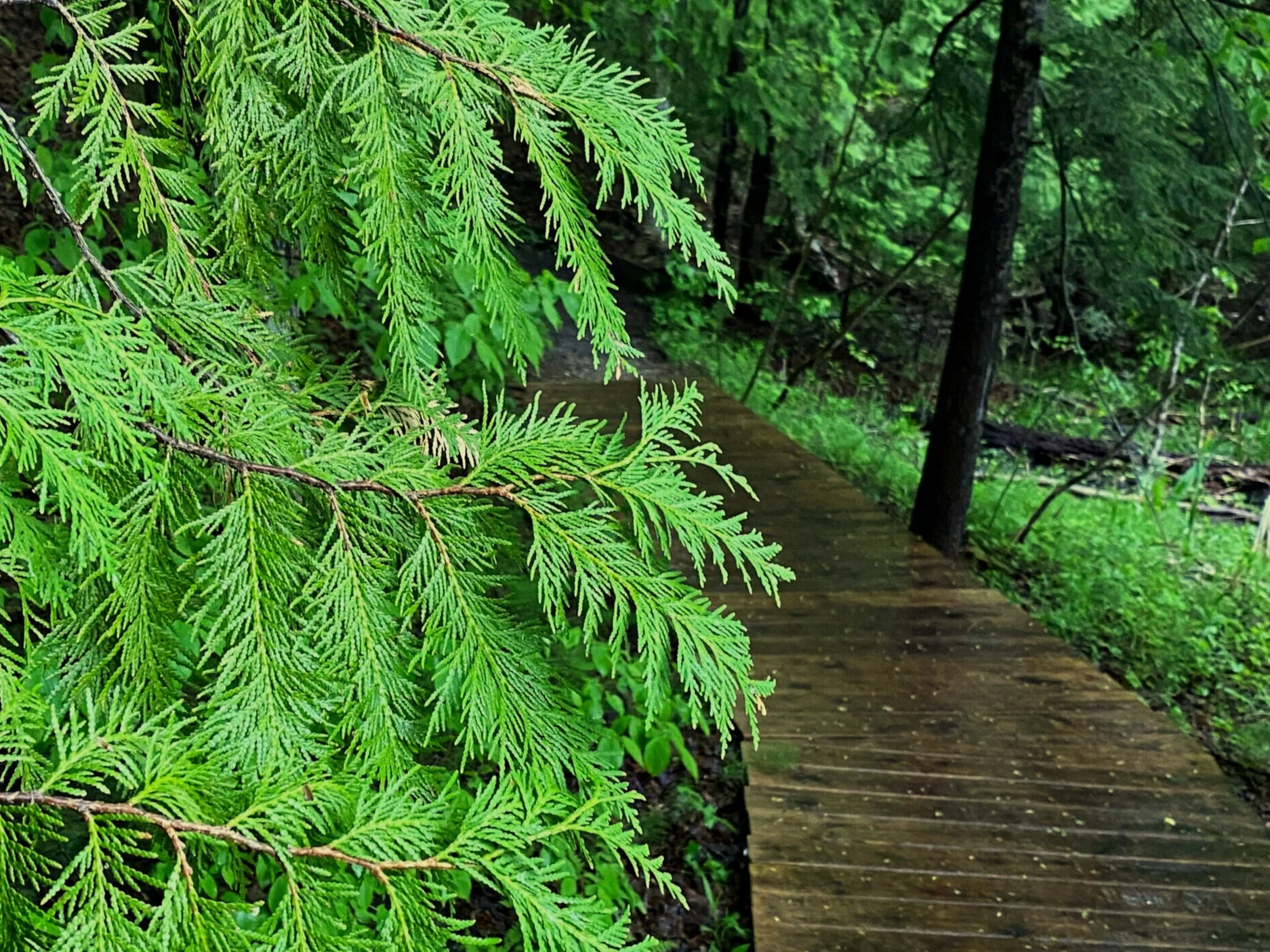 Boardman River Nature Center — Grand Traverse Conservation District