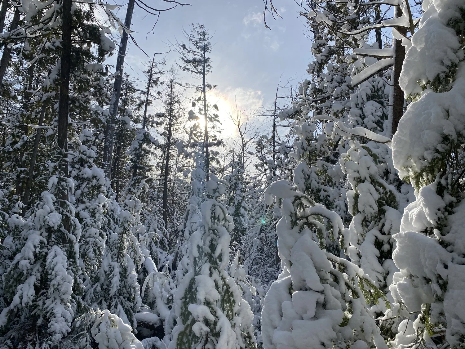 NEST Wildlife in Winter — Grand Traverse Conservation District