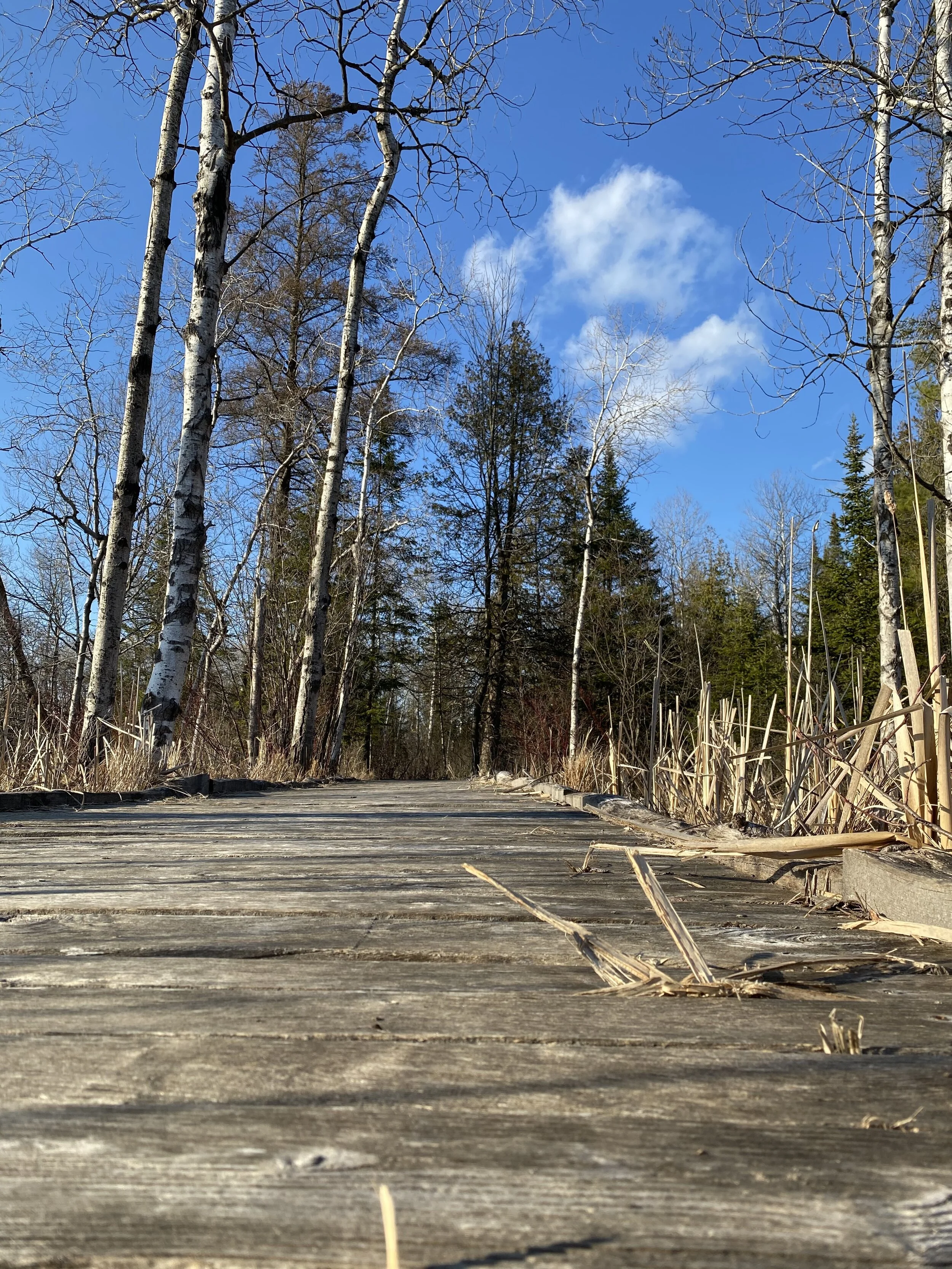 Grand Traverse Natural Education Reserve — Grand Traverse Conservation ...
