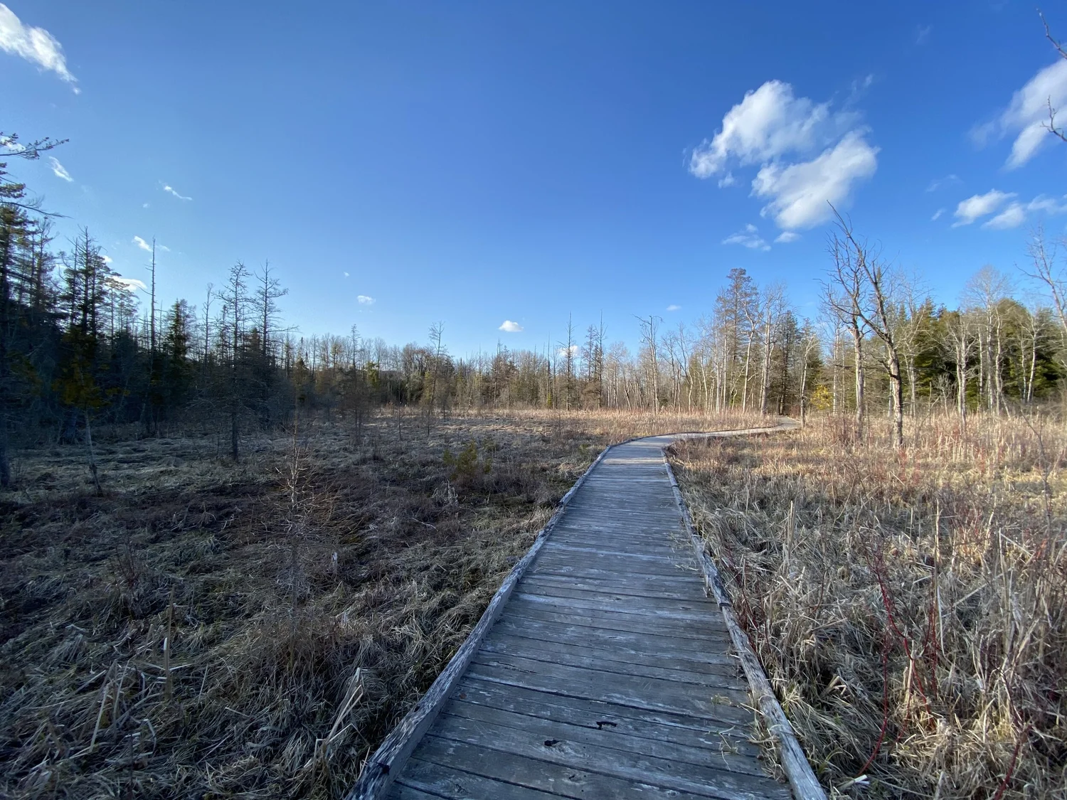 Grand Traverse Natural Education Reserve — Grand Traverse Conservation ...
